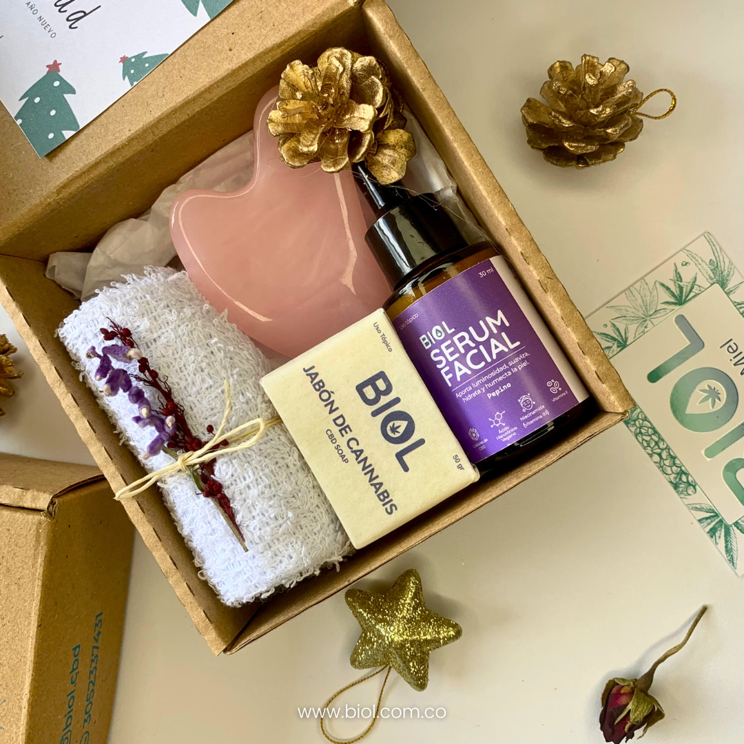 Kit Amor Propio - Biol